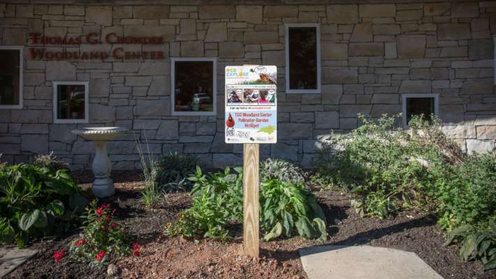 Thomas G Crowder Woodland Center Raleighnc Gov
