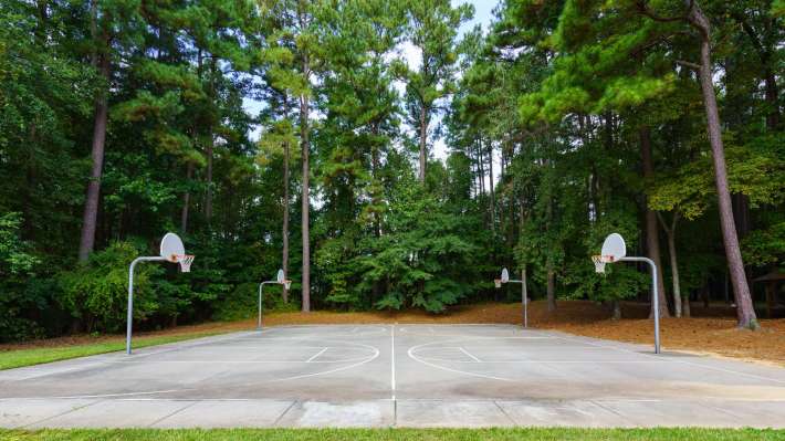Kingwood Forest Park | Raleighnc.gov