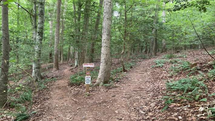 Forest Ridge Park | Raleighnc.gov