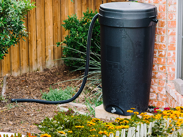 Using a Rain Barrel | Raleighnc.gov